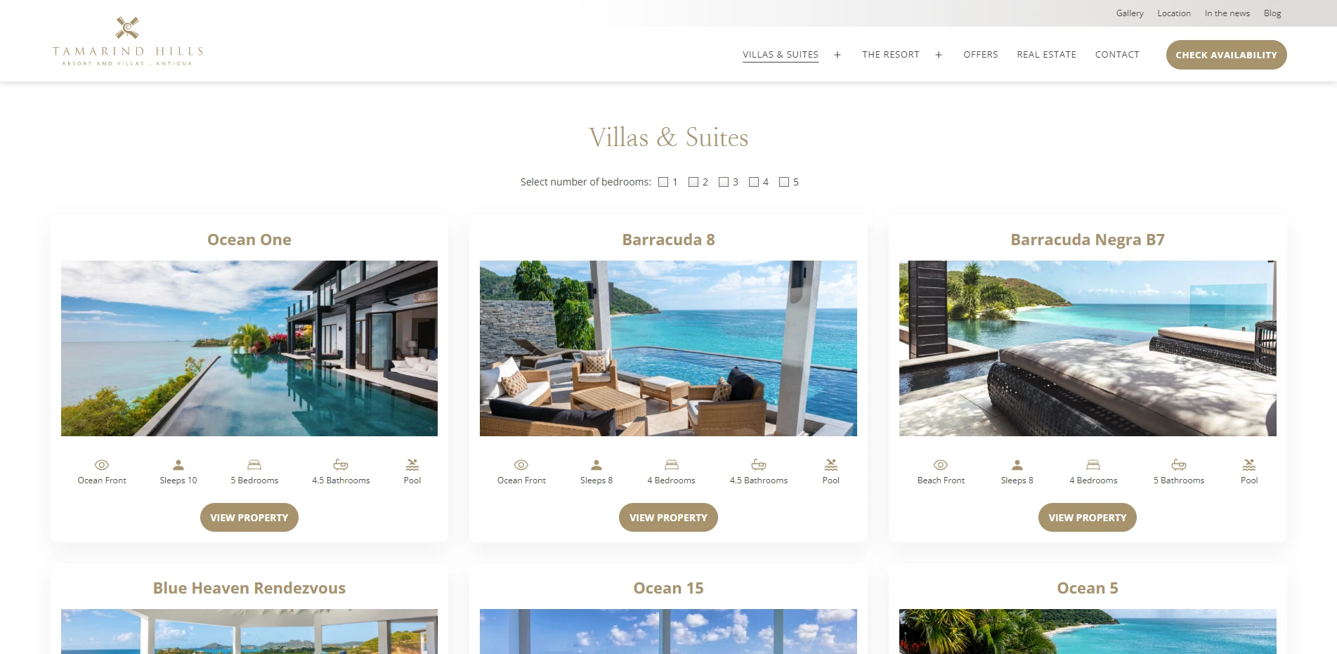 Web Design Brisbane - Leading Web Designer Brisbane Australia